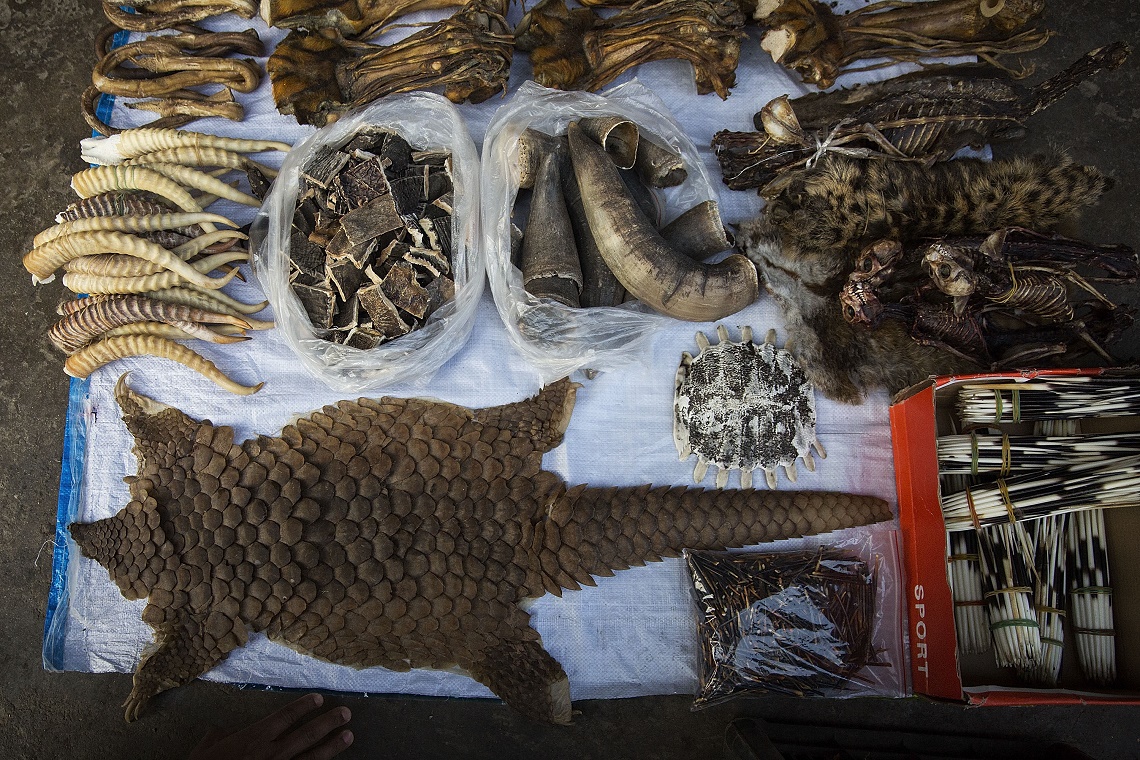 Bracconaggio Di Animali